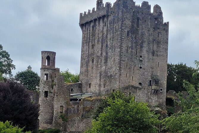 Private Taxi Tour of Blarney Castle ,Cork ,Kinsale 5 Star Rated - The Value of a Private Guided Experience