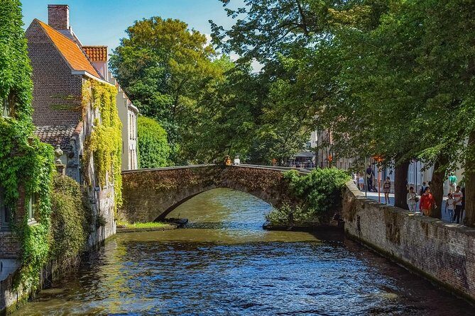 Private taxi Transfer from Bruges to Amsterdam - Vehicle Comfort and Features