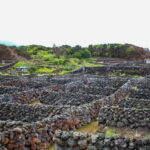 Private Terceira Island Caves: Lava Route - entrances & wine - Key Highlights of the Tour