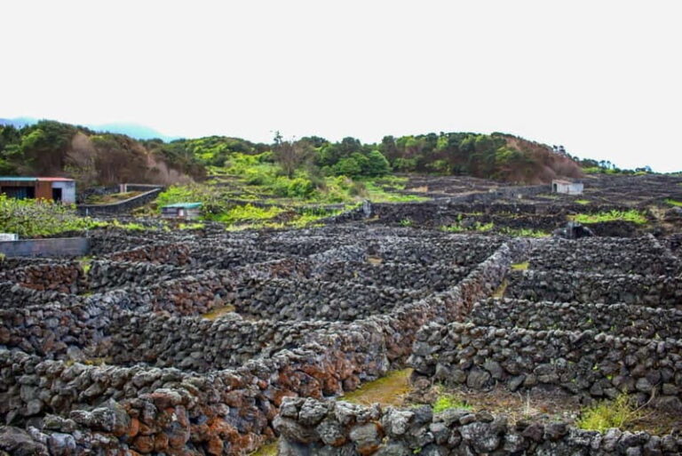 Private Terceira Island Caves: Lava Route - entrances & wine - Key Highlights of the Tour