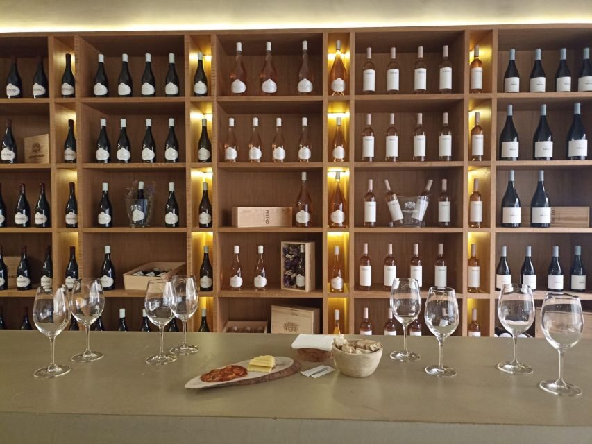 Private Tour Alentejo: Évora, WineTasting and Monsaraz - Wine Tasting at Herdade do Esporão