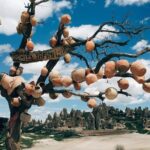 Private Tour: Best Of Cappadocia Highlights - Who Will Benefit Most?