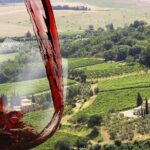 Private tour Brunello di Montalcino and Nobile di Montepulciano wine experience in Tuscany - A Deep Dive into the Experience