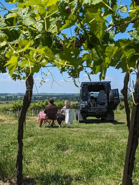 Private tour Day in the heart of the Cognac vineyards - What You’ll Really Experience