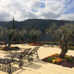 Private Tour: Douro Valley Wine and Food from Oporto - What to Expect on the Tour