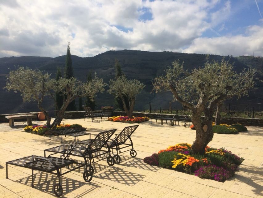 Private Tour: Douro Valley Wine and Food from Oporto - What to Expect on the Tour