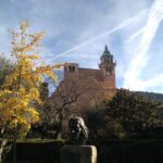 Private tour for my family from a cruise - Real-World Insights from Reviews