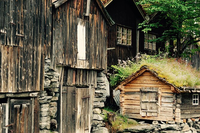 Private tour from Ålesund to Geiranger up to 15 people - Getting Started: Convenience and Comfort