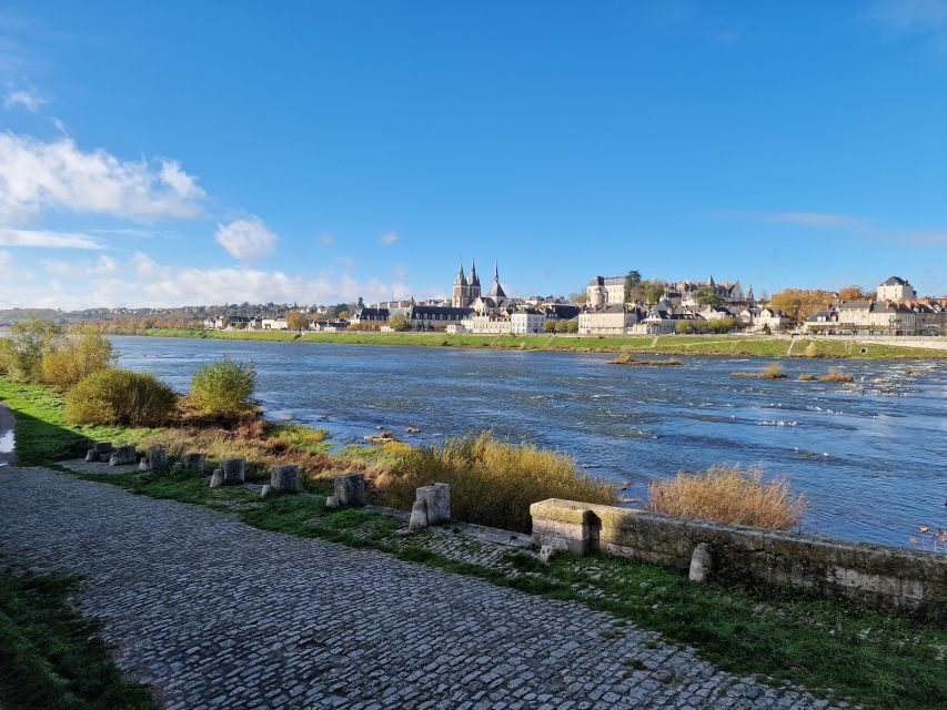 Private Tour from Paris to Loire Castles & Michelin Lunch - What Makes This Tour Stand Out