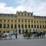 PRIVATE TOUR: From Prague to stunning Vienna with local guide - Price and Value Analysis