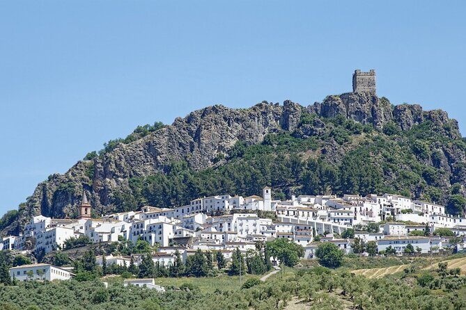 Private Tour from Seville to Setenil and Zahara and Ronda - The Bottom Line