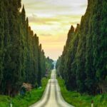 Private Tour from the Port of Livorno to Bolgheri - Discovering the Charm of Bolgheri and Its Coastline