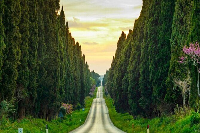 Private Tour from the Port of Livorno to Bolgheri - Discovering the Charm of Bolgheri and Its Coastline