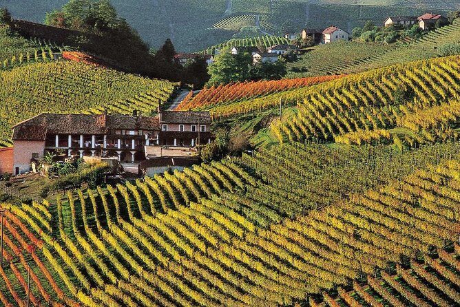 Private tour from Turin: Full day Langhe Region with its Colors and Flavors - Authentic Experiences and Guest Praise