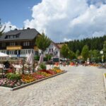 Private Tour from Zurich to Rhine Falls and Black Forest - Practical Details and What to Expect