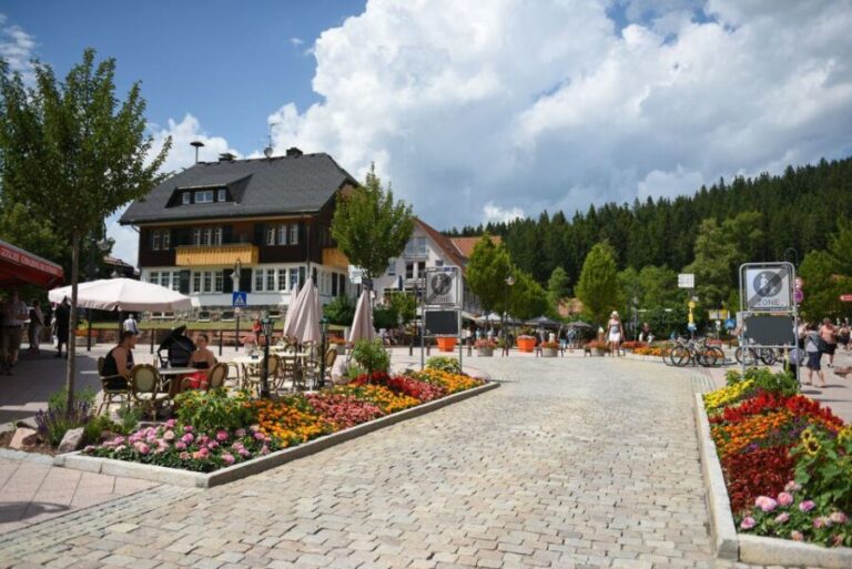 Private Tour from Zurich to Rhine Falls and Black Forest - Practical Details and What to Expect