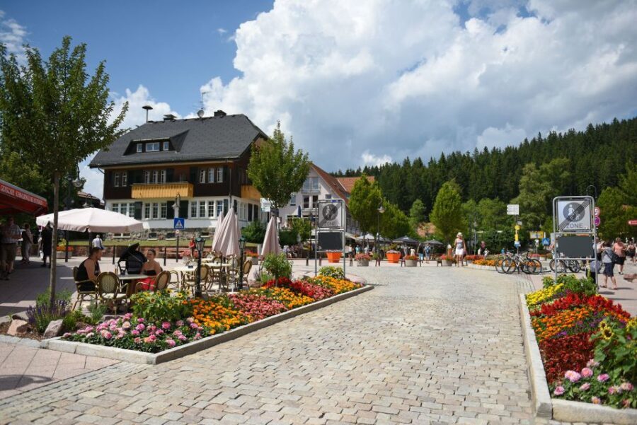 Private Tour from Zurich to Rhine Falls and Black Forest - Practical Details and What to Expect