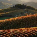 Private Tour: Guided Hike in Tuscany with Transport from Siena - Analyzing the Value