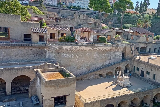 Private Tour in Herculaneum with an authorized guide - Introduction
