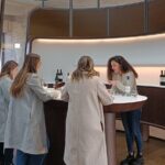 Private tour in Saint-Emilion, médiéval village and wine tasting - How to Make the Most of This Tour