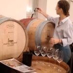 Private tour in the prestigious Médoc wine region - An In-Depth Look at the Médoc Private Wine Tour