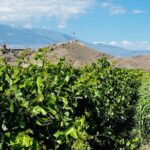 Private Tour: Khor Virap-Garni-Geghard - What to Expect from the Duration