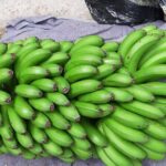 Private Tour of Banana Farm from Funchal - What Guests Say