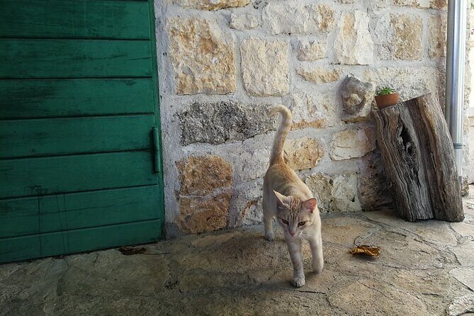 Private tour of Bra island with olive oil tasting - Unlocking the Charm of Bra Island: An In-Depth Look