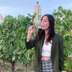Private Tour Of Chianti with Wine Tastings - Exploring Tuscany: A Detailed Look at the Tours Highlights