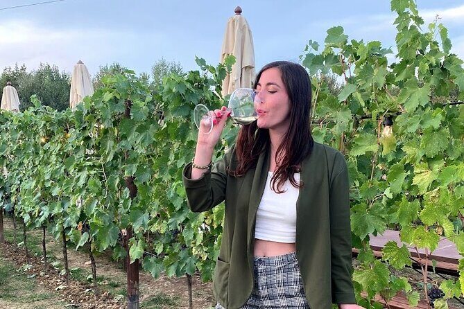 Private Tour Of Chianti with Wine Tastings - Exploring Tuscany: A Detailed Look at the Tours Highlights