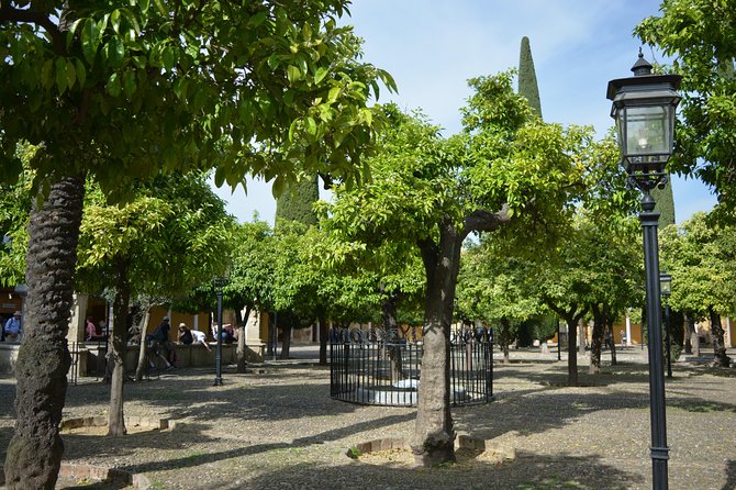 Private Tour of Cordoba Week Days 2 Hours Tickets included - Who Will Benefit Most?