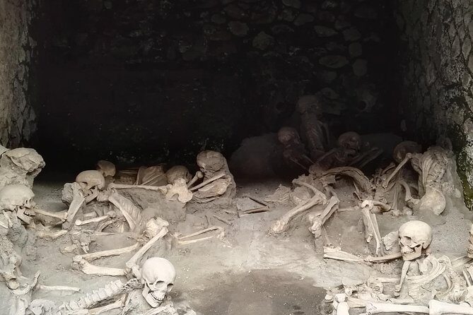 Private Tour Of Herculaneum & Mount Vesuvius - Logistics, Transportation, and Value