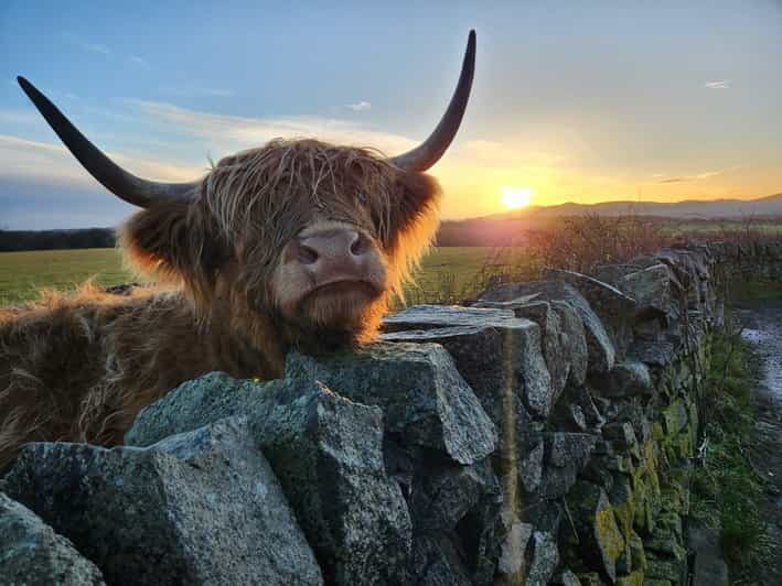 Private Tour of Highlands, Lochs & Castles from Stirling - Who Will Love This Tour?