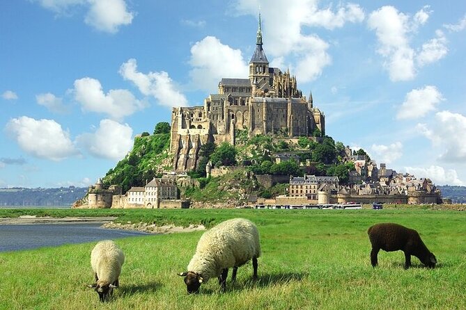 Private tour of Mont Saint-Michel and the D-Day Beaches - Introduction: A Private Normandy Experience Worth Considering