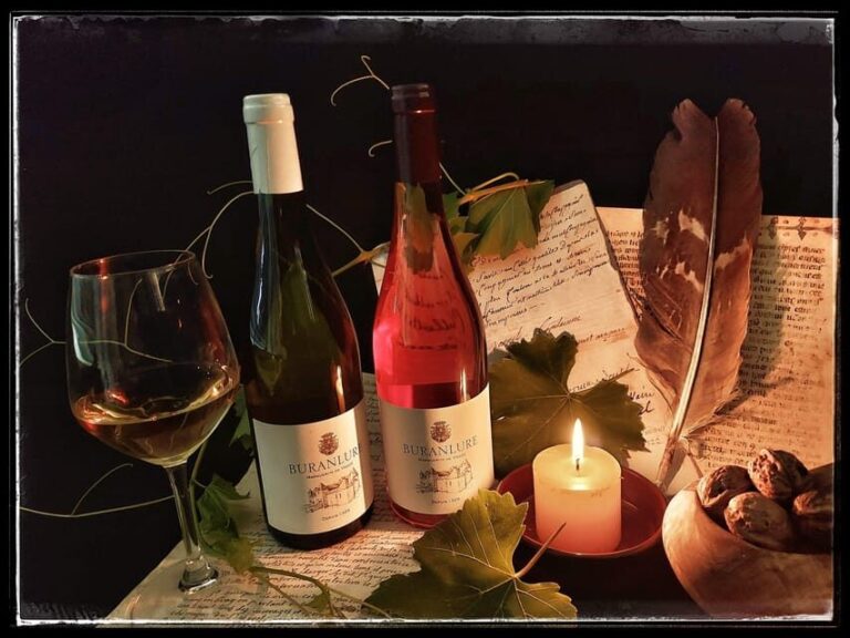 Private tour of the castle and wine tasting - A Detailed Look at the Experience