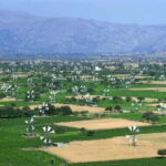 Private Tour, Olive Mill, Scotino Cave, Lasithi Plateau H/D - Practical Details & Value
