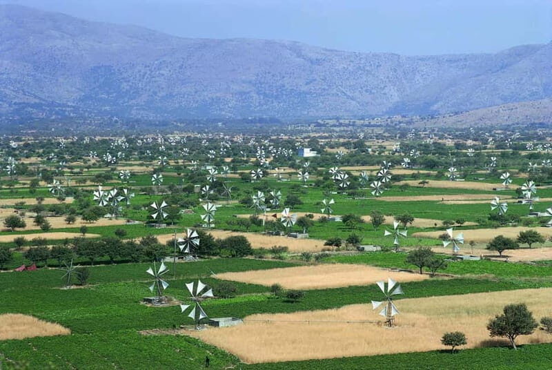 Private Tour, Olive Mill, Scotino Cave, Lasithi Plateau H/D - Practical Details & Value