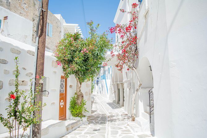 Private tour: Paros highlights 6 hours - Practical Details and Considerations