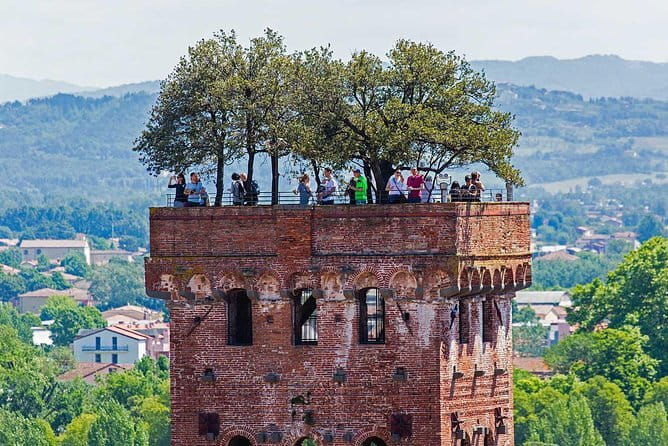 Private Tour: Pisa and Lucca from Florence - Key Points