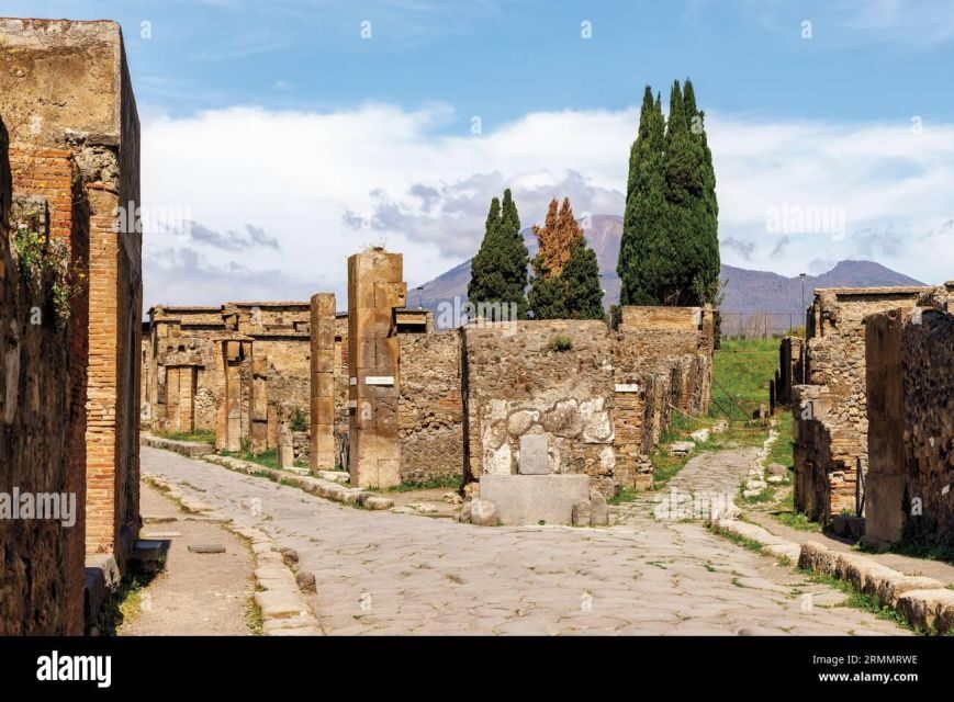 Private Tour Pompeii+Mont. Vesuvius - Is This Tour Worth the Cost?