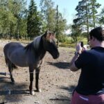 Private Tour: Swedish History Day Trip to World Heritage Candidate Markim-Orkesta from Stockholm - Final Thoughts: Is This Tour Right for You?