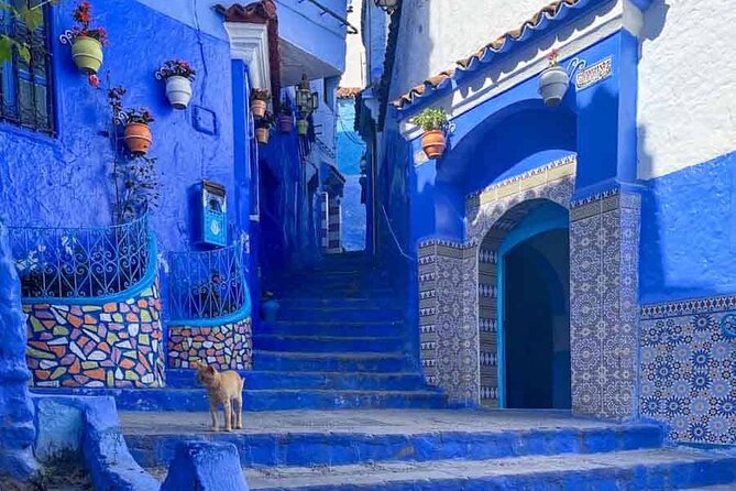 Private Tour: Tangier From Malaga. Breakfast and Lunch Included - A Practical Look at the Private Tour from Malaga to Tangier