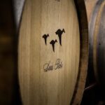 Private Tour to Aveiro, to the Sparkling Wine Cellars and Piglet Tasting - Introduction to the Tour Experience
