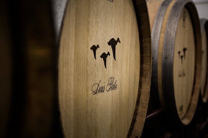 Private Tour to Aveiro, to the Sparkling Wine Cellars and Piglet Tasting - Introduction to the Tour Experience