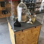 Private tour to Evora with optional wine tasting in the cartucha - Optional: Wine Tasting and Olive Oil at Herdade da Cartuxa or Esporão