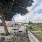 Private Tour to Evora with wine tasting at the Cartuxa Winery - What Travelers Say