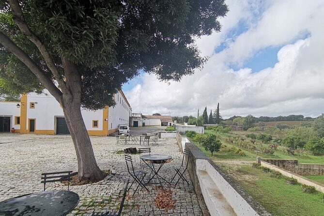 Private Tour to Evora with wine tasting at the Cartuxa Winery - What Travelers Say