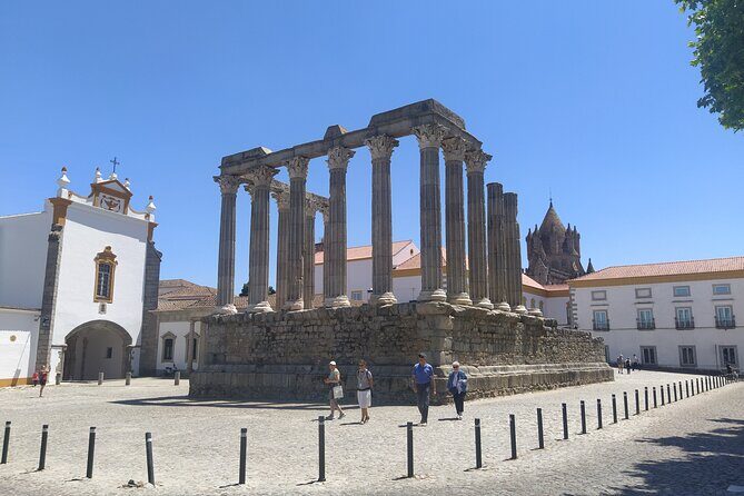 Private Tour to Évora with Wine tasting - Who Will Love This Tour?