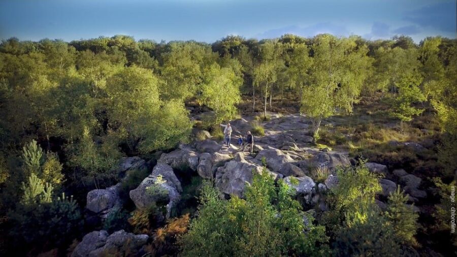 Private tour to Fontainebleau from Paris. Tickets included! - A Balanced Look at the Limitations
