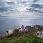 Private tour to Gougane Barra and Glengarriff - Discovering the Irish Countryside: An In-Depth Look